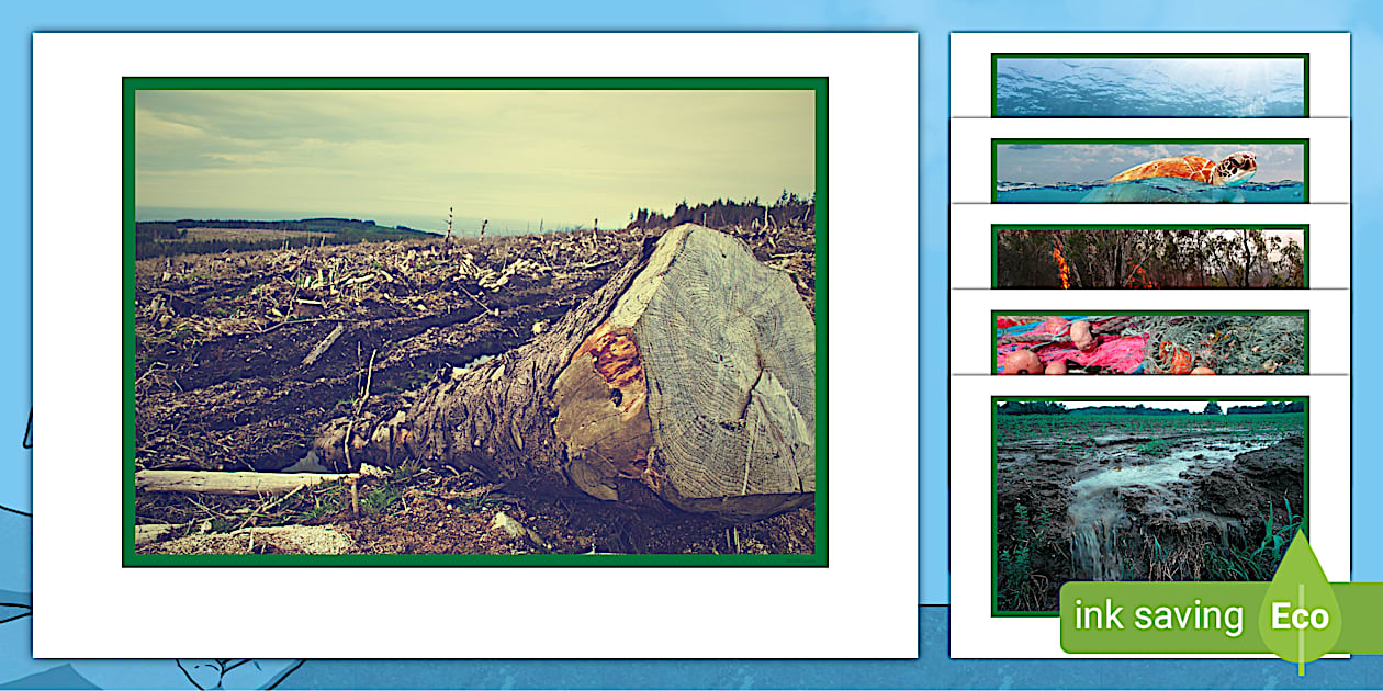 The Impacts on Our Ecosystems Picture Pack | Twinkl Resource
