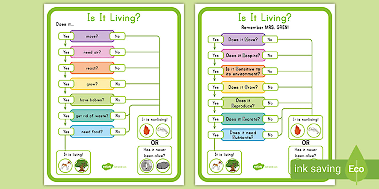 Living or Nonliving Poster (Teacher-Made) - Twinkl
