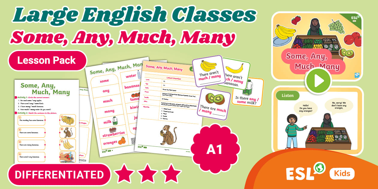 ESL Large English Classes Lesson Pack: Some, Any, Much, Many