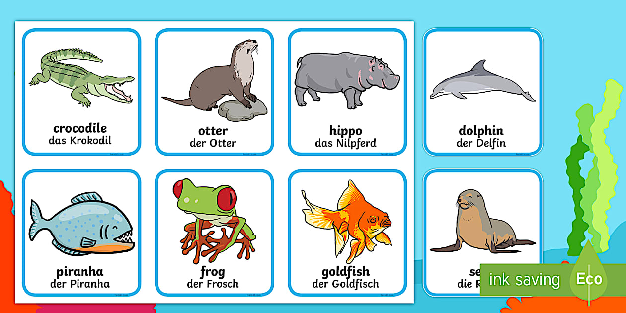 Salt and Fresh Water Creatures Sorting Cards (Under the Sea) English/German