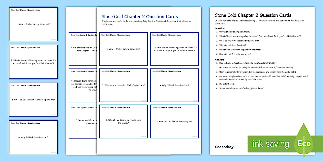 Chapter 2 Question Cards to Support Teaching on 'Stone Cold' by Robert