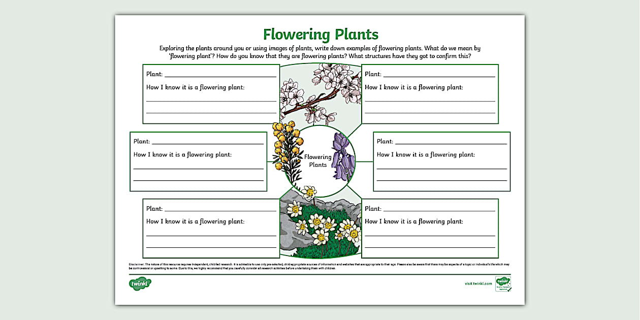 Flowering Plants Mind Map (teacher made) - Twinkl