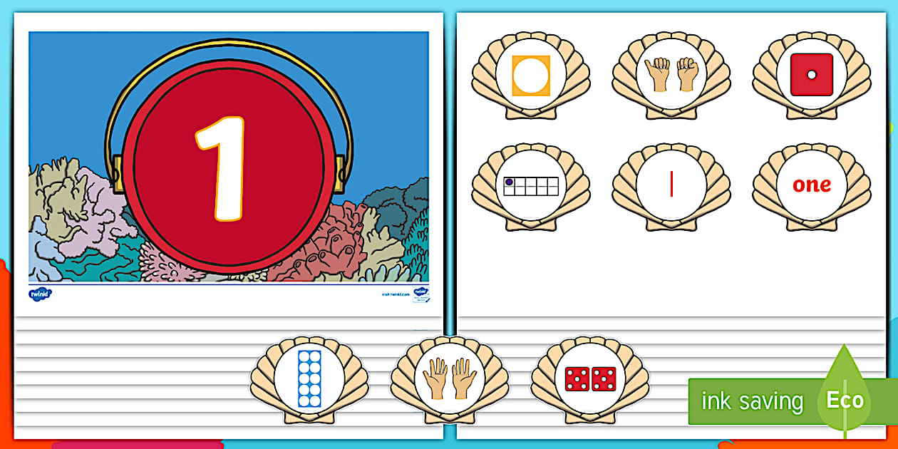 Seashells Representing Numbers to 10 Sorting Activity - EYFS