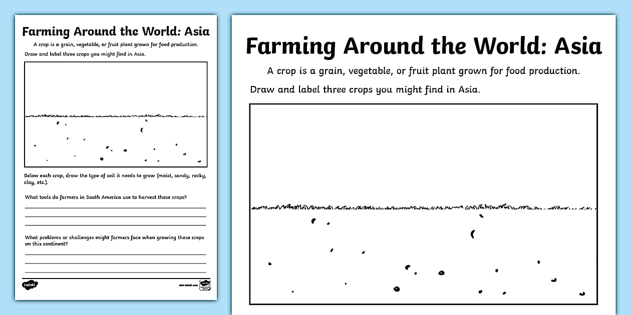 Farming in Asia Worksheet | Teaching Resources | Twinkl USA