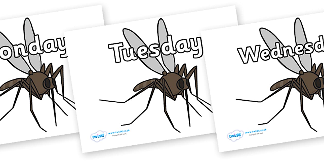 Days of the Week on Mosquitos