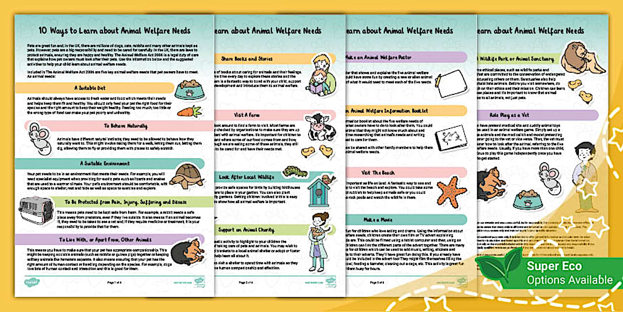 10 Activities to Learn about Animal Welfare (teacher made)