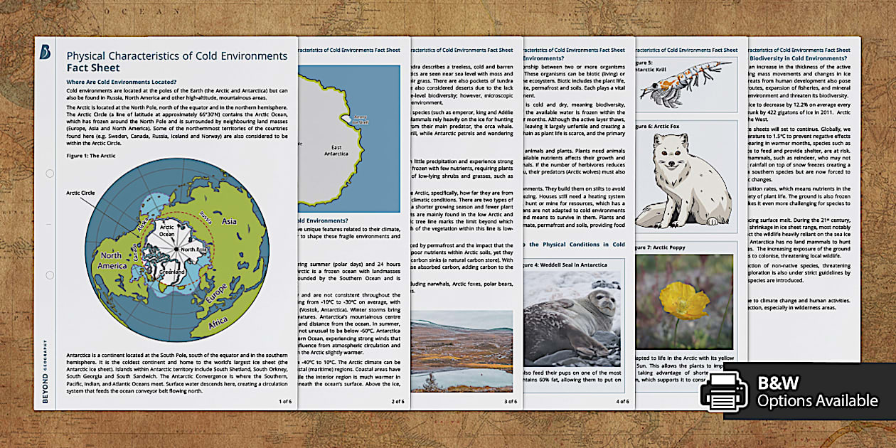 GCSE AQA Cold Environments Fact Sheet (teacher made)