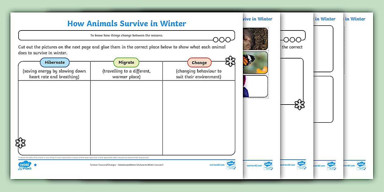 How Animals Survive in Winter Sorting Activity - Twinkl