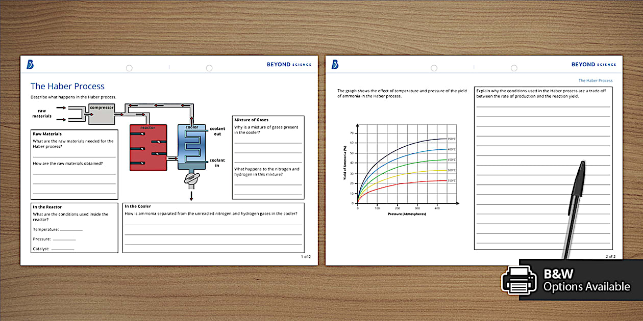 The Haber Process Worksheet (teacher made) - Twinkl