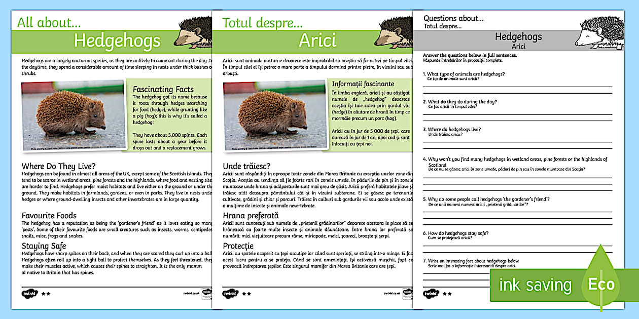 Hedgehogs Reading Comprehension Pack English/Romanian