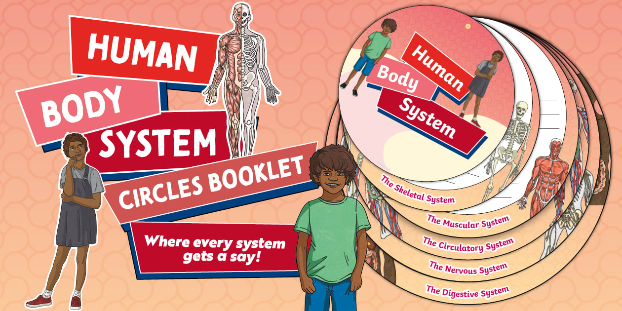 Human Body Systems Circles Booklet
