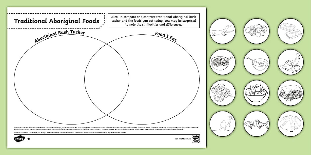 Traditional Aboriginal Bush Tucker Venn Diagram - Twinkl