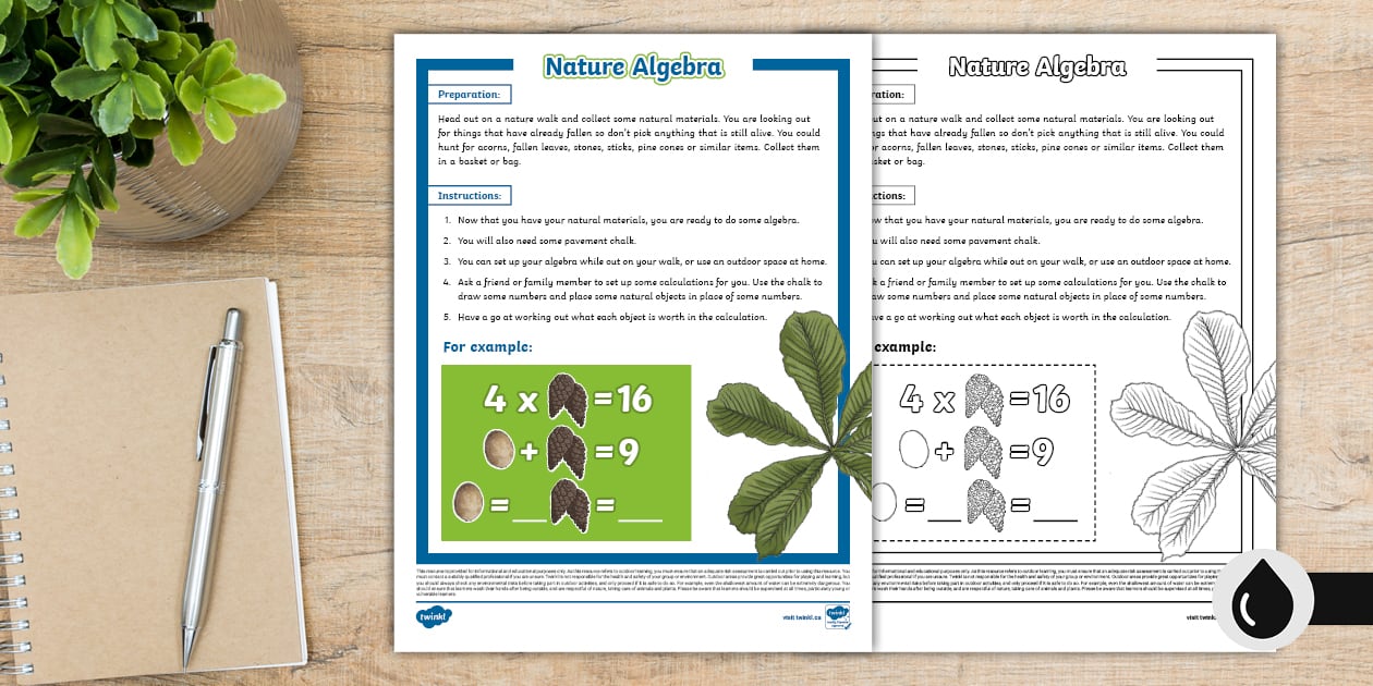 Algebra in Nature Activity (Lehrer gemacht) - Twinkl
