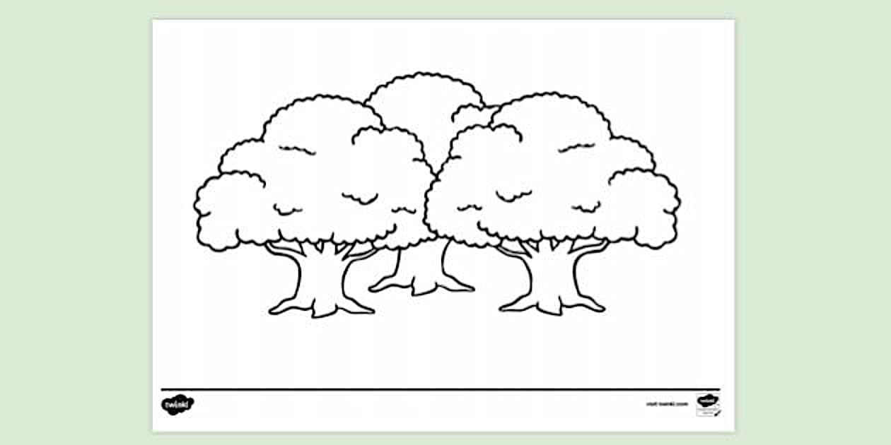 Free Printable Tree Colouring Page - Primary School - Twinkl