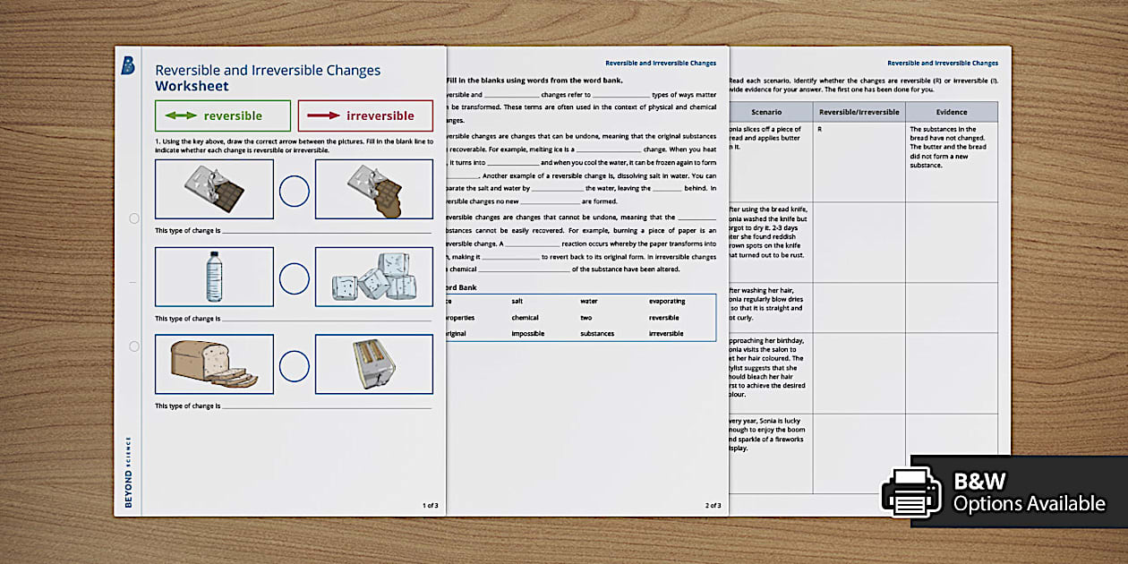 Reversible and Irreversible Changes Activity Worksheet
