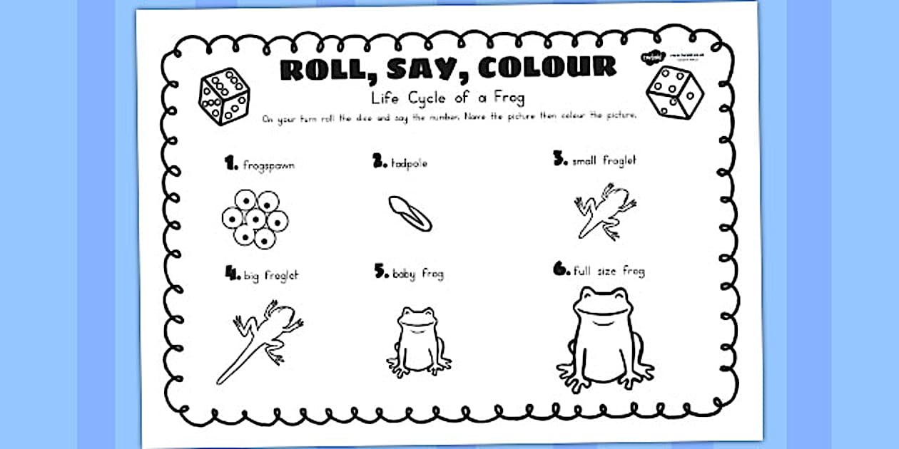 Life Cycle Of A Frog Roll Say Colour - Twinkl