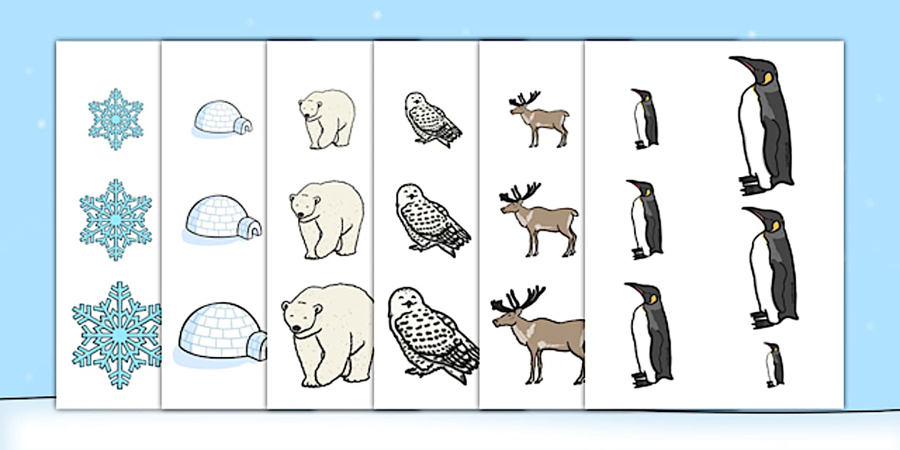Polar Regions Size Ordering (Hecho por educadores) - Twinkl