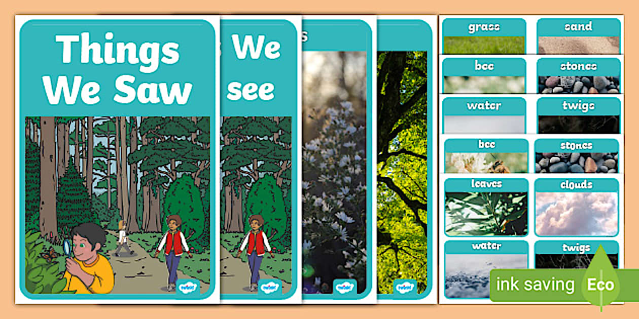 Nature Walk Photo Sorting Activity | Nature Play | Twinkl