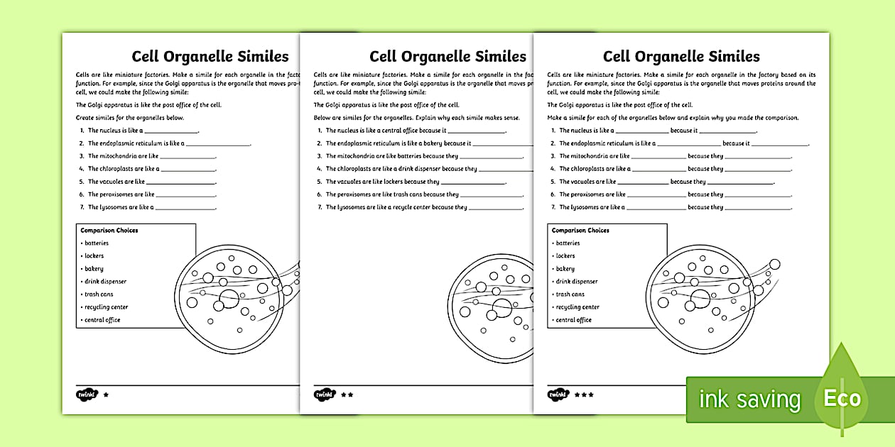 Cell Organelle Worksheets with Answers | Science Resources