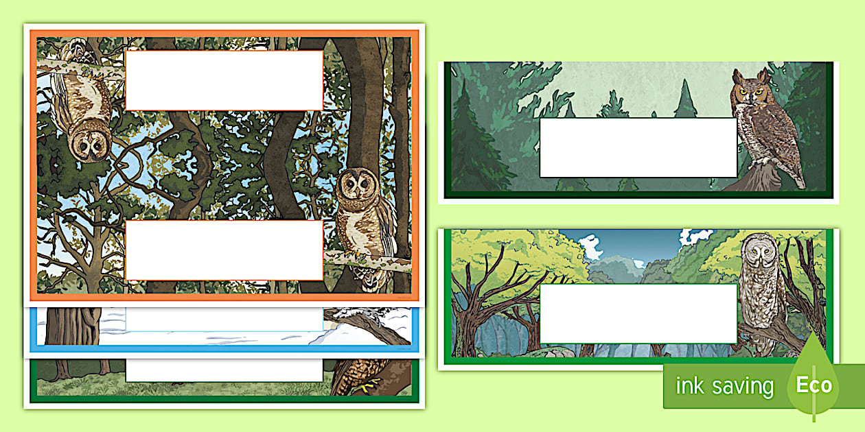 Editable Owl-Themed Group and Table Signs (teacher made)