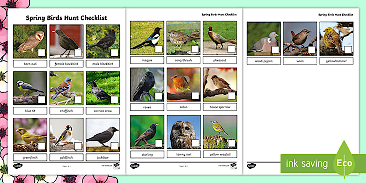 Spring Birds Scavenger Hunt - Primary Resources - Twinkl