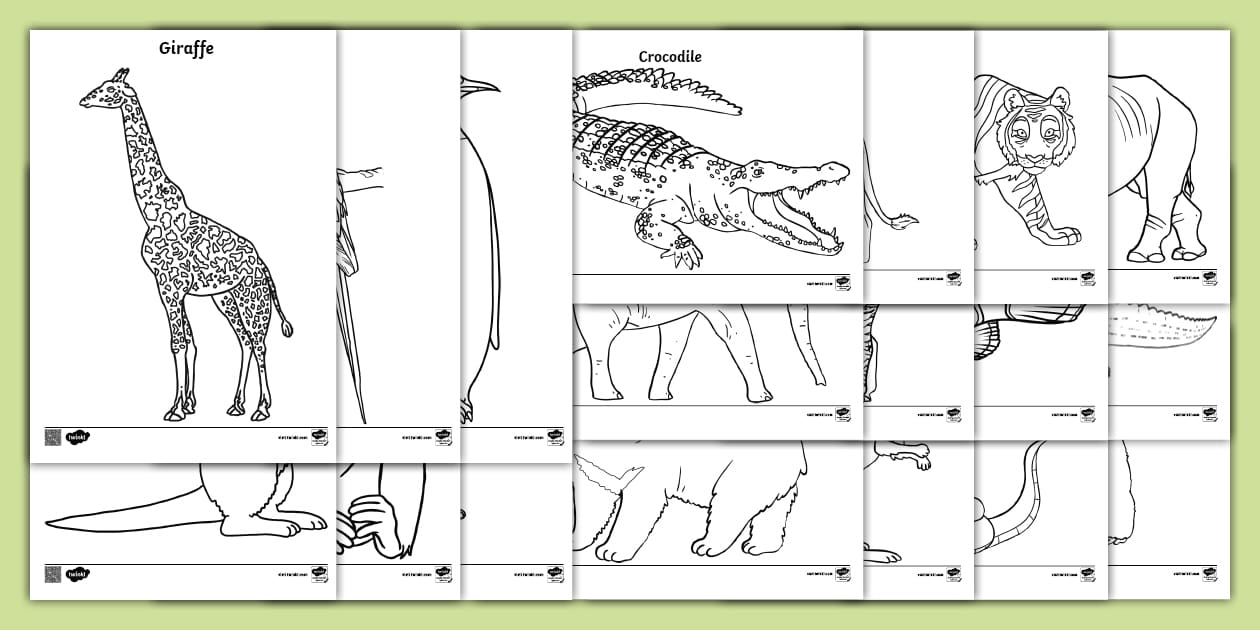 Editable Zoo Animals Coloring Pages (Teacher-Made) - Twinkl