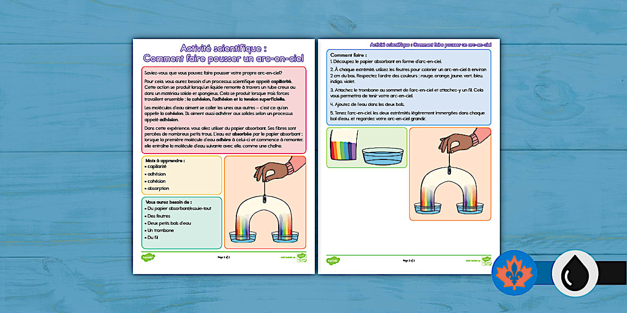 How to Grow a Rainbow Experiment Science Activity French