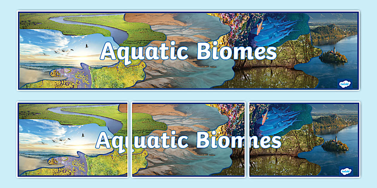Aquatic Biomes Photo Display Banner (Teacher-Made) - Twinkl