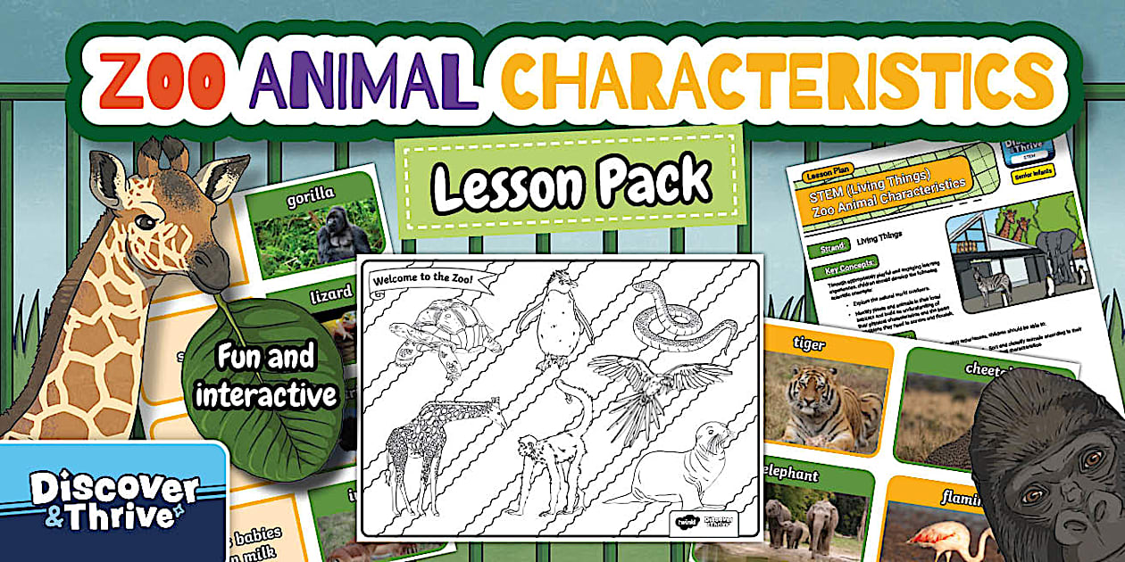 STEM (Living Things) Zoo Animal Characteristics Resource Pack (Senior ...