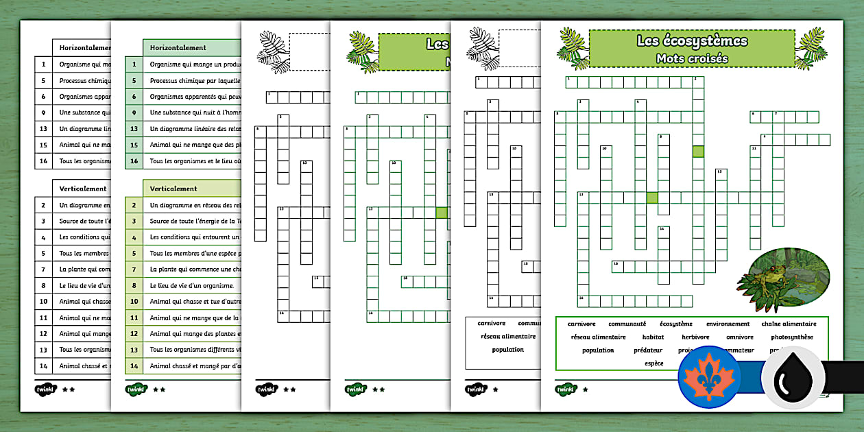 Ecosystems Crossword French (teacher made) - Twinkl