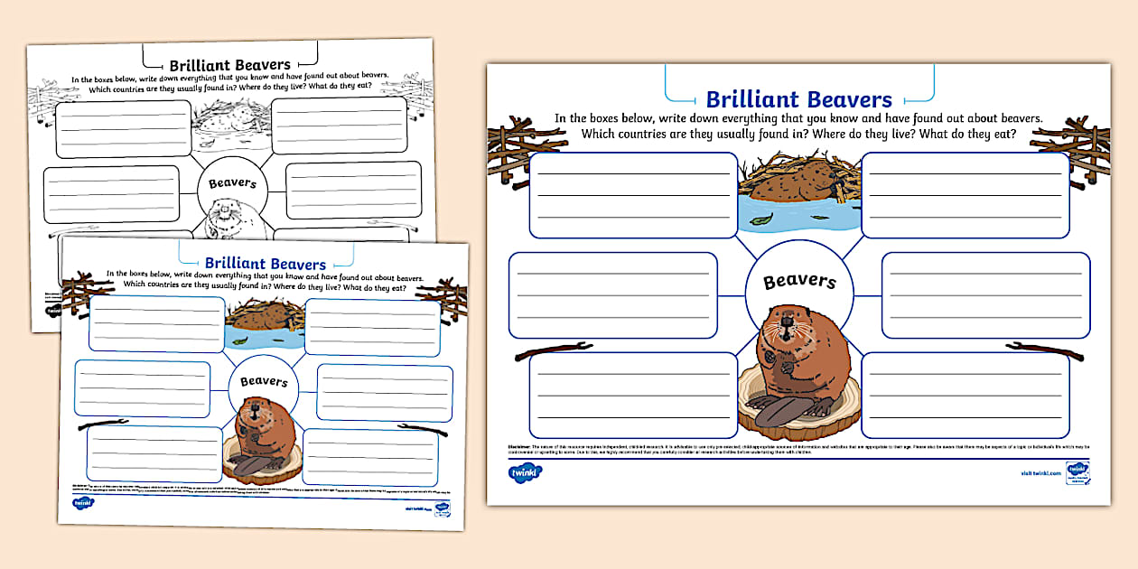 Beavers Mind Map (professor feito) - Twinkl