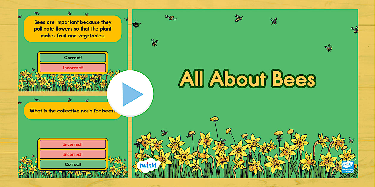 All About Bees PowerPoint Quiz (teacher made) - Twinkl