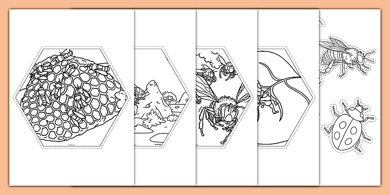 Insects Hexagon Display Colouring Activity (Teacher-Made)