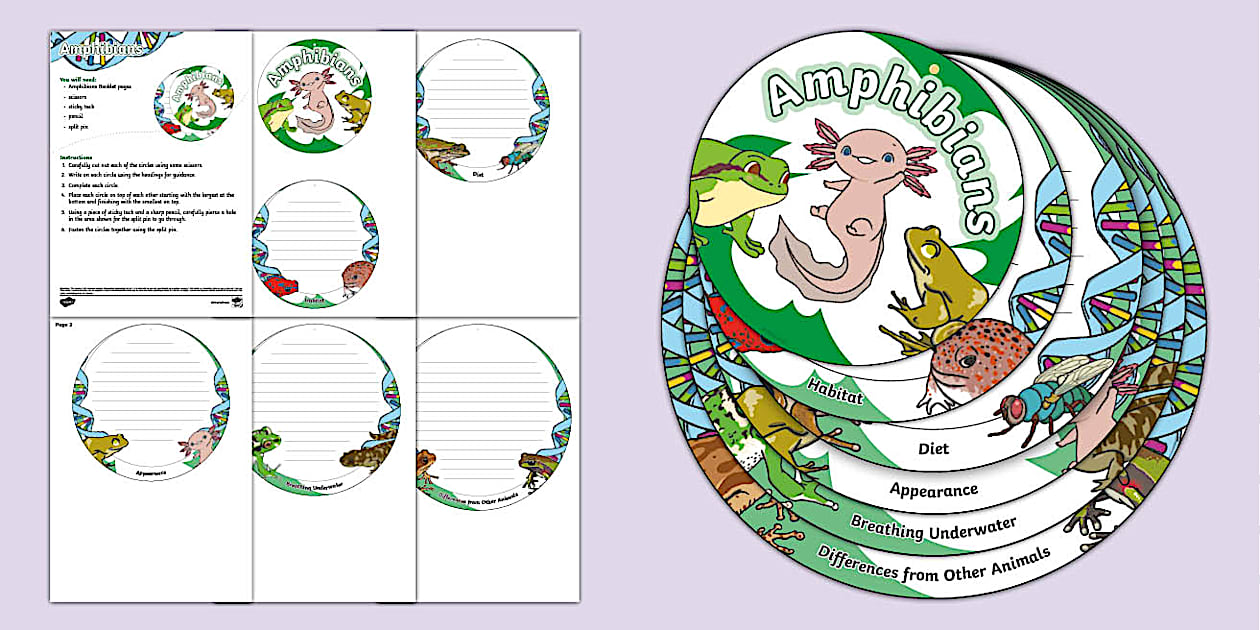 Amphibians Circles Booklet - Twinkl Science (teacher made)