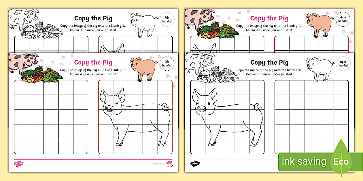 Copy the Pig Worksheet (teacher made) - Twinkl