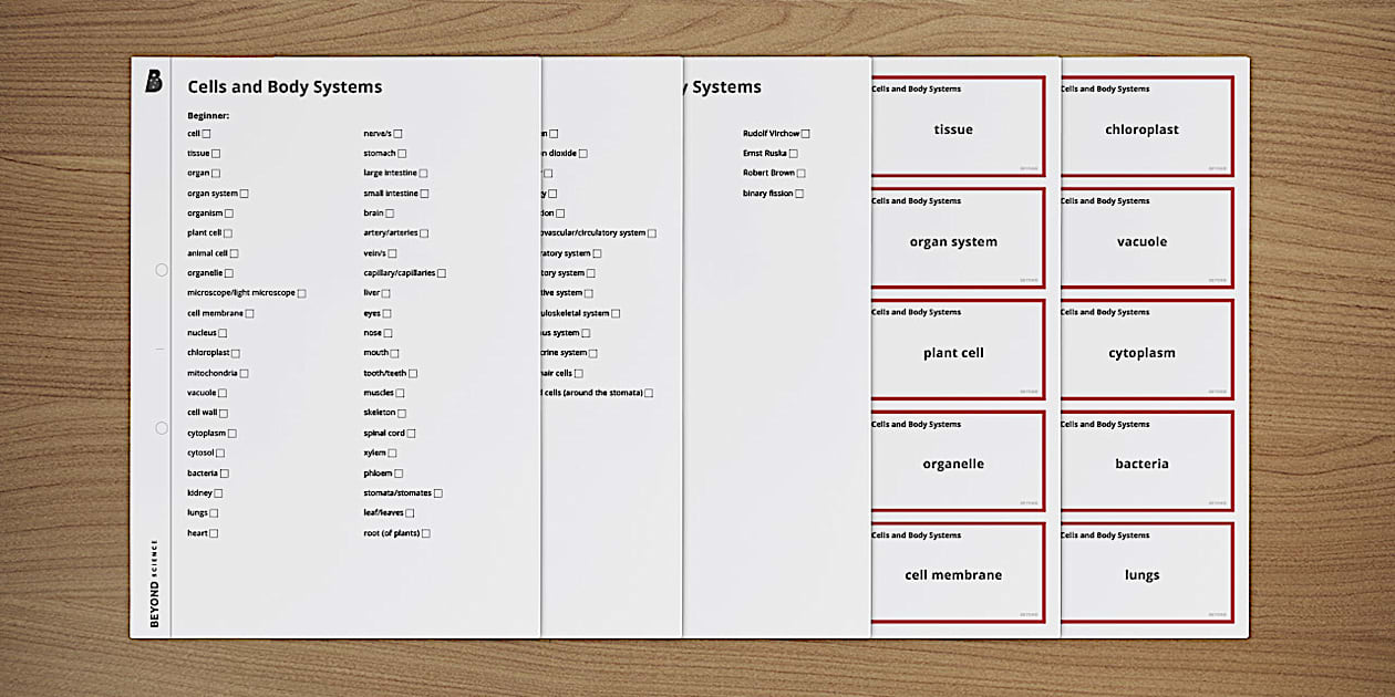 Science Sketch & Guess (Teacher-Made) - Twinkl