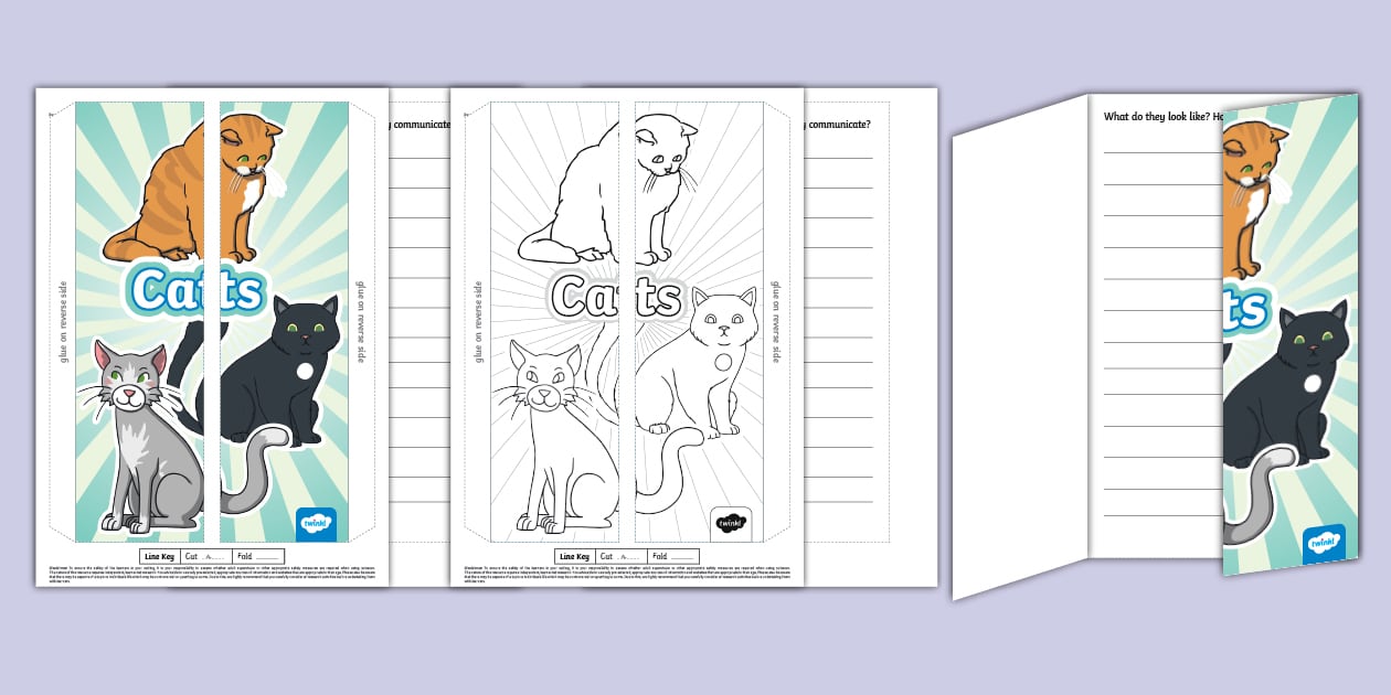 Cats Folding Writing Template - Twinkl science - Twinkl