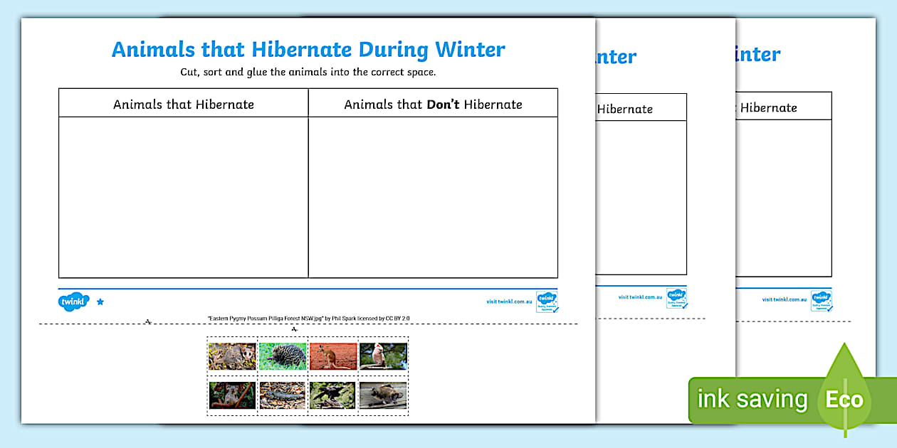 Winter Animals Differentiated Cut and Paste Activity Ι Twinkl