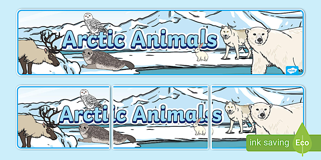 Arctic Animals Display Banner - (teacher made) - Twinkl