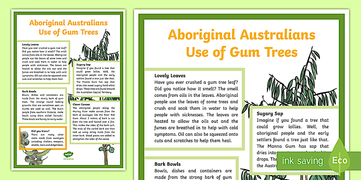 TAS Aboriginal People's Use of Gum Trees Display Poster