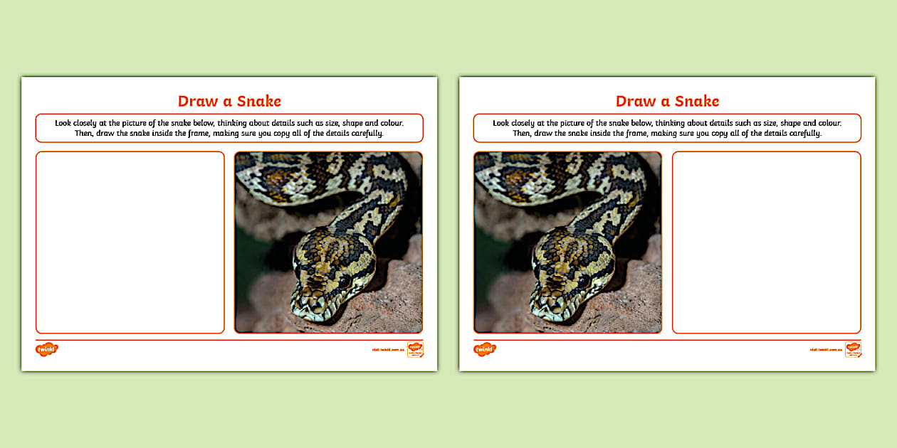 Draw a Snake Worksheet (teacher made) - Twinkl