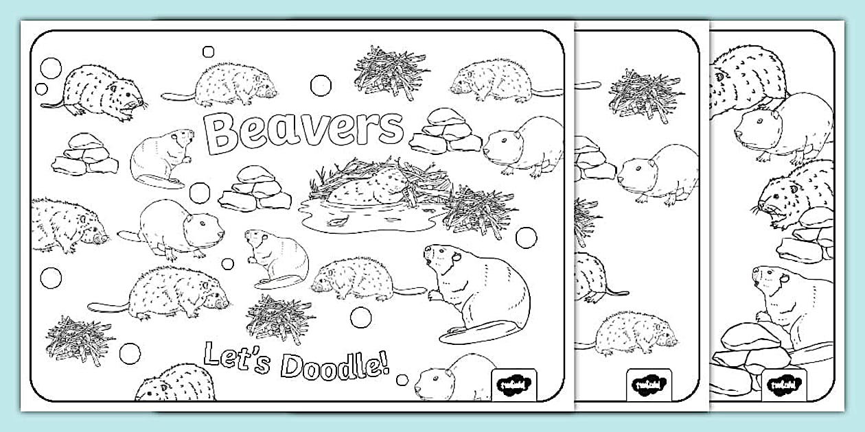 Let's Doodle Beaver-Themed Colouring Pages - Twinkl - KS1