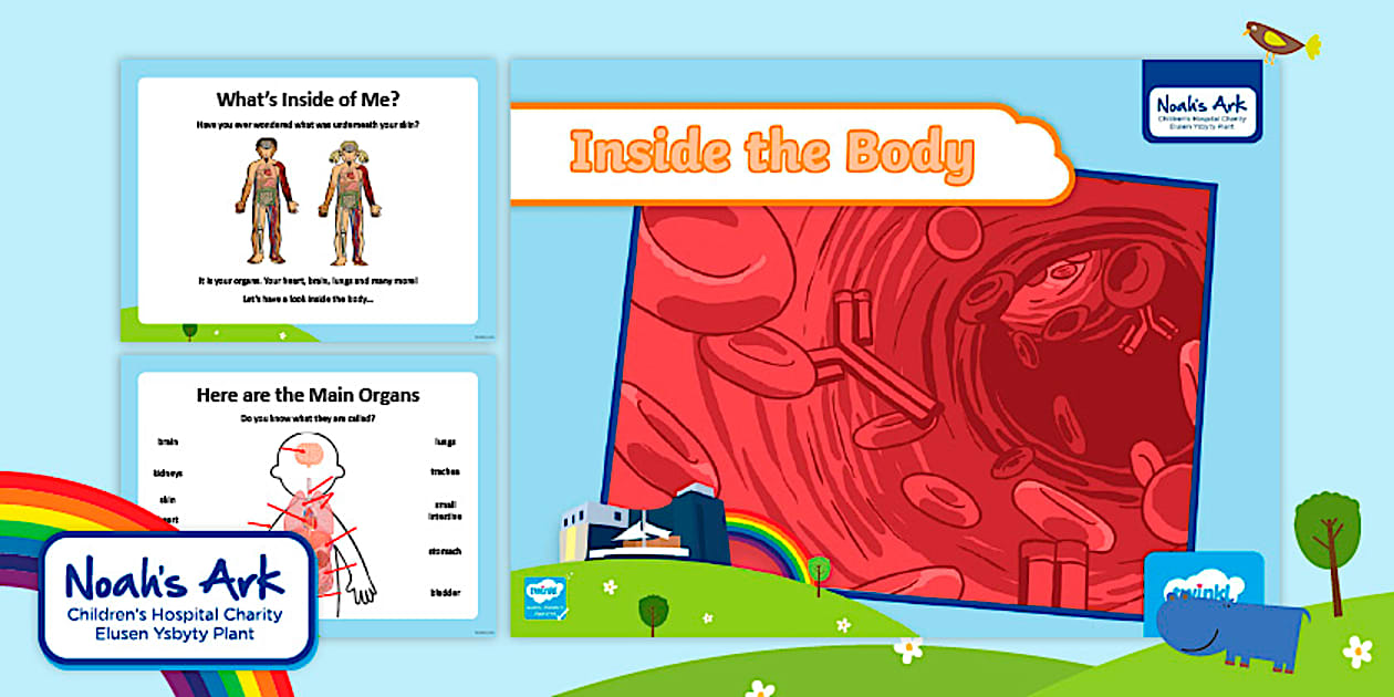FREE! - Inside My Body Powerpoint (Hecho por educadores)