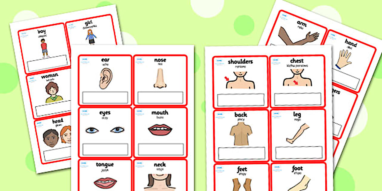 My Body Editable Cards with English Polish Translation - polish