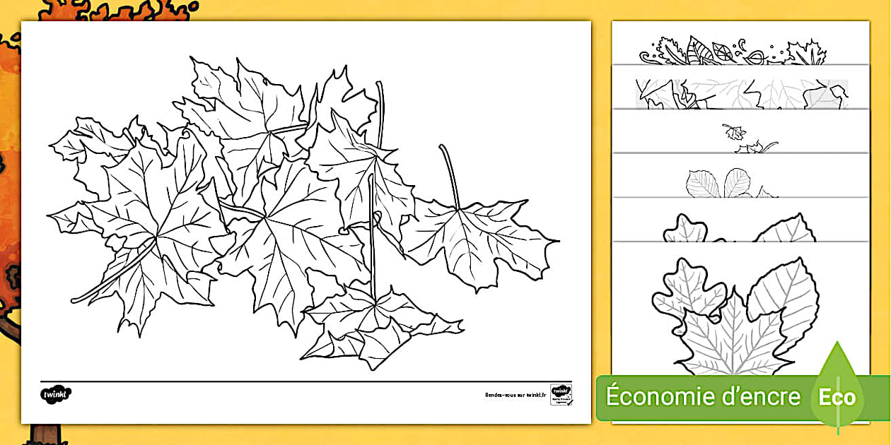 Activité de coloriage : les feuilles d'automne - Twinkl