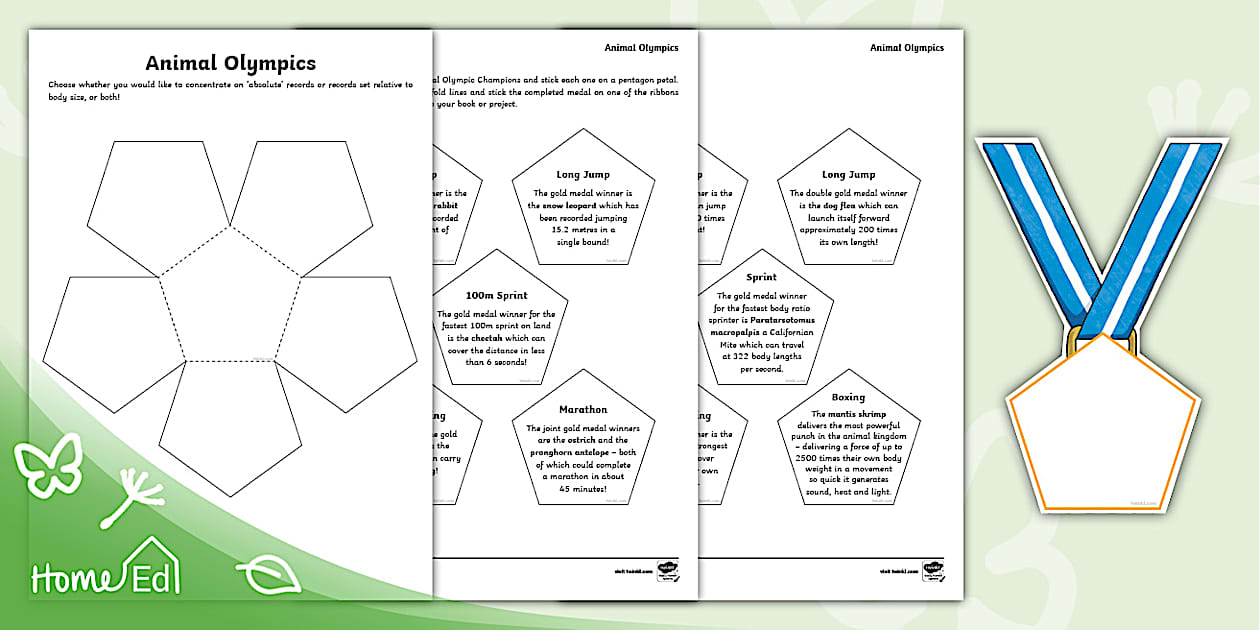 Animal Olympics Worksheet (Teacher-Made) - Twinkl