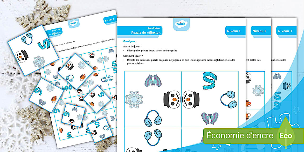 Puzzles de réflexion sur l'hiver (teacher made) - Twinkl