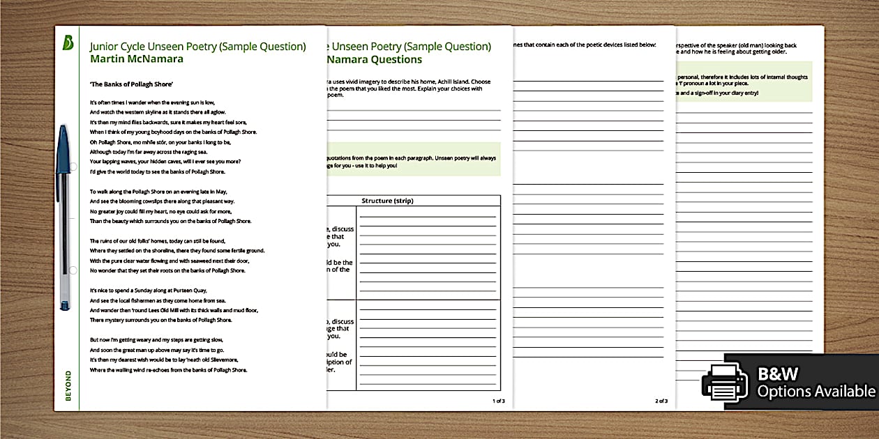 The Banks Of Pollagh Shore Martin McNamara | Twinkl Ireland