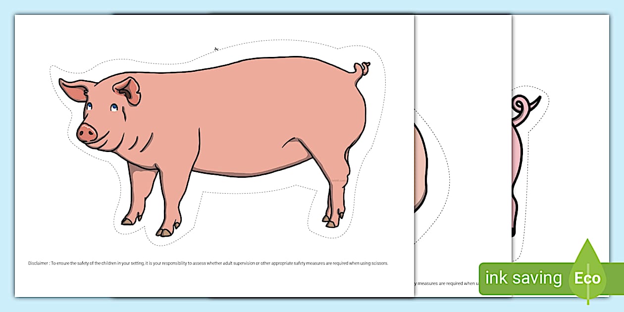 Pig Display Cut-Outs (professor feito) - Twinkl