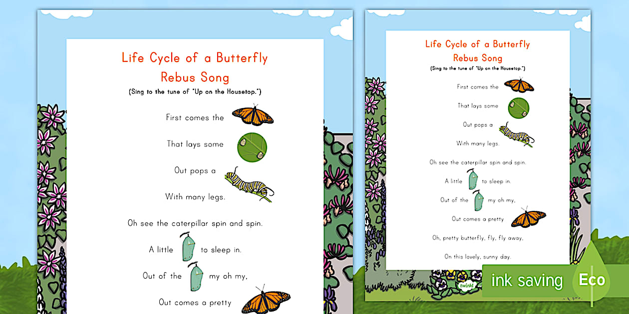 Life Cycle of a Butterfly Song (teacher made) - Twinkl